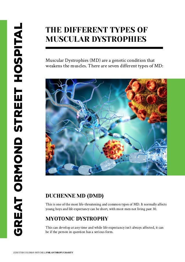 The Different Types of Muscular Dystrophies