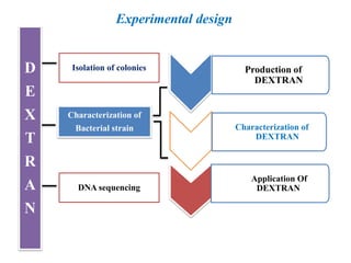 production and characterisation dextran by lactobacillus paracasei | PPTX