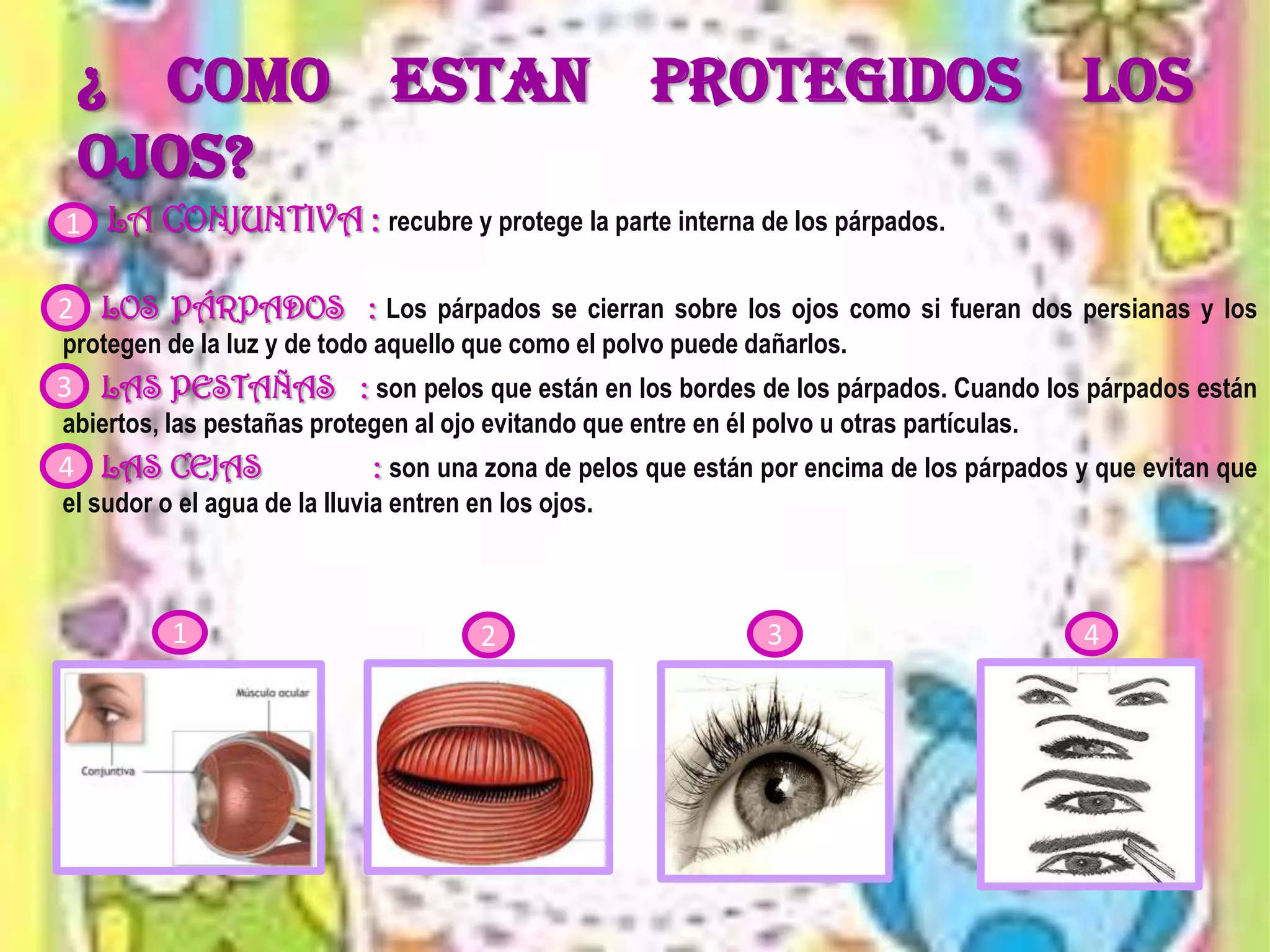 Deysy diapositivas sentido de la vista | PPT