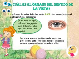 Deysy diapositivas sentido de la vista | PPTX