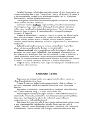 Dezvoltarea plantelor | DOC