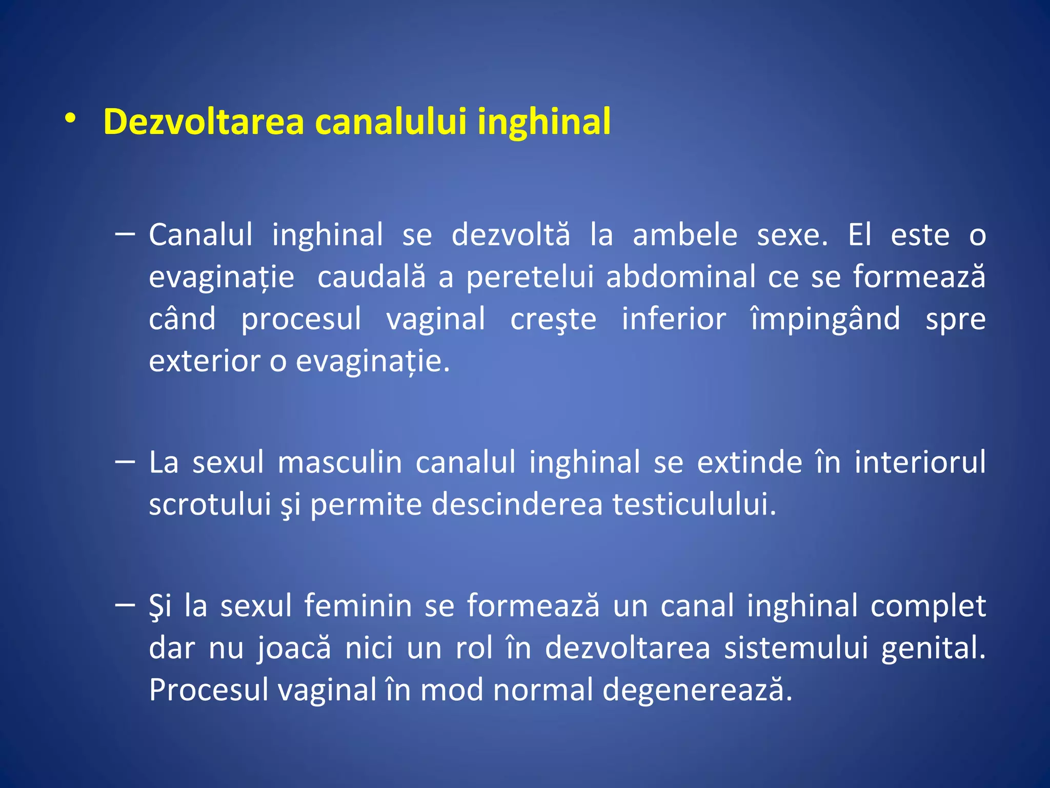 Dezvoltarea sistemului genital | PPT