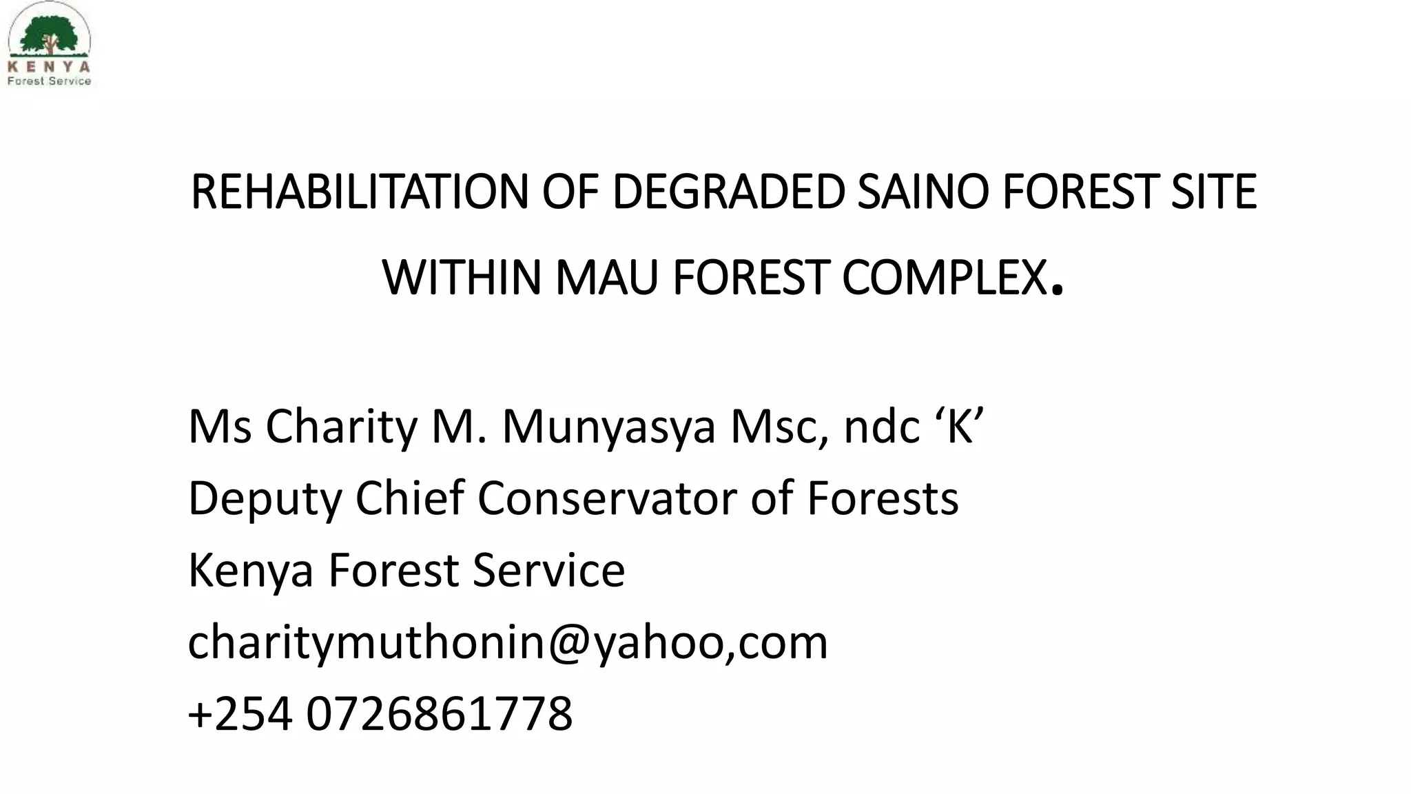 Rehabilitation of degraded saino forest site within Mau Forest complex ...