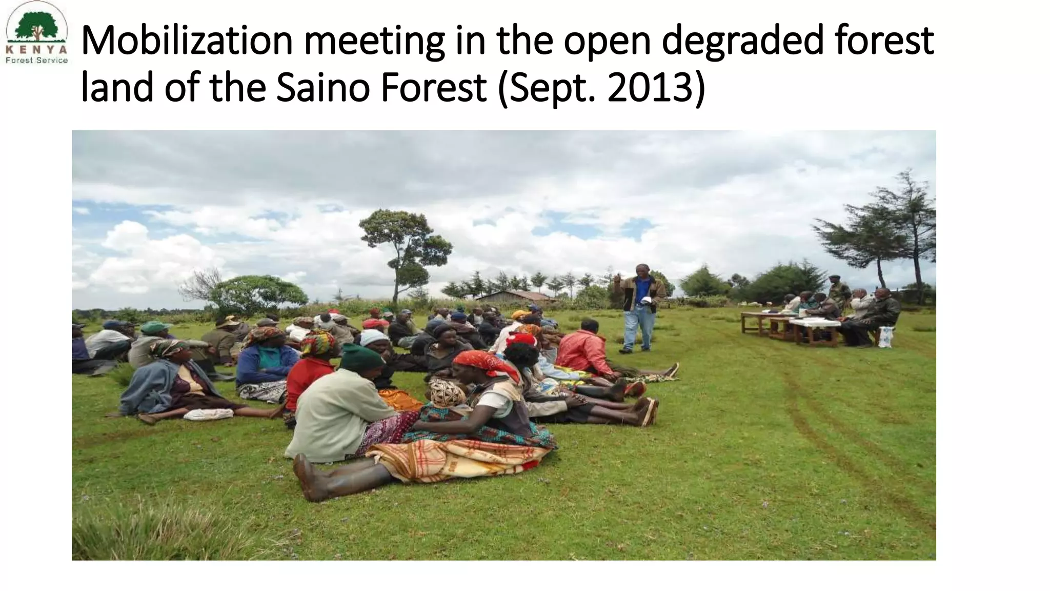 Rehabilitation of degraded saino forest site within Mau Forest complex ...