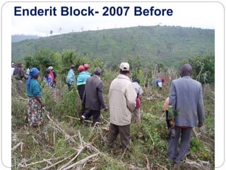 Forest restoration efforts in Kenya: A case of Enderit/Mau Narok block ...