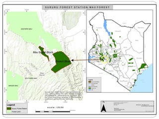 Forest restoration efforts in Kenya: A case of Enderit/Mau Narok block ...