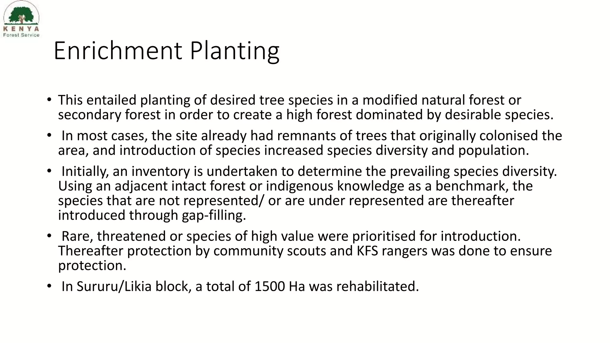 Reforestation Efforts in Kenya: A case of Surubu/Likia forest block ...