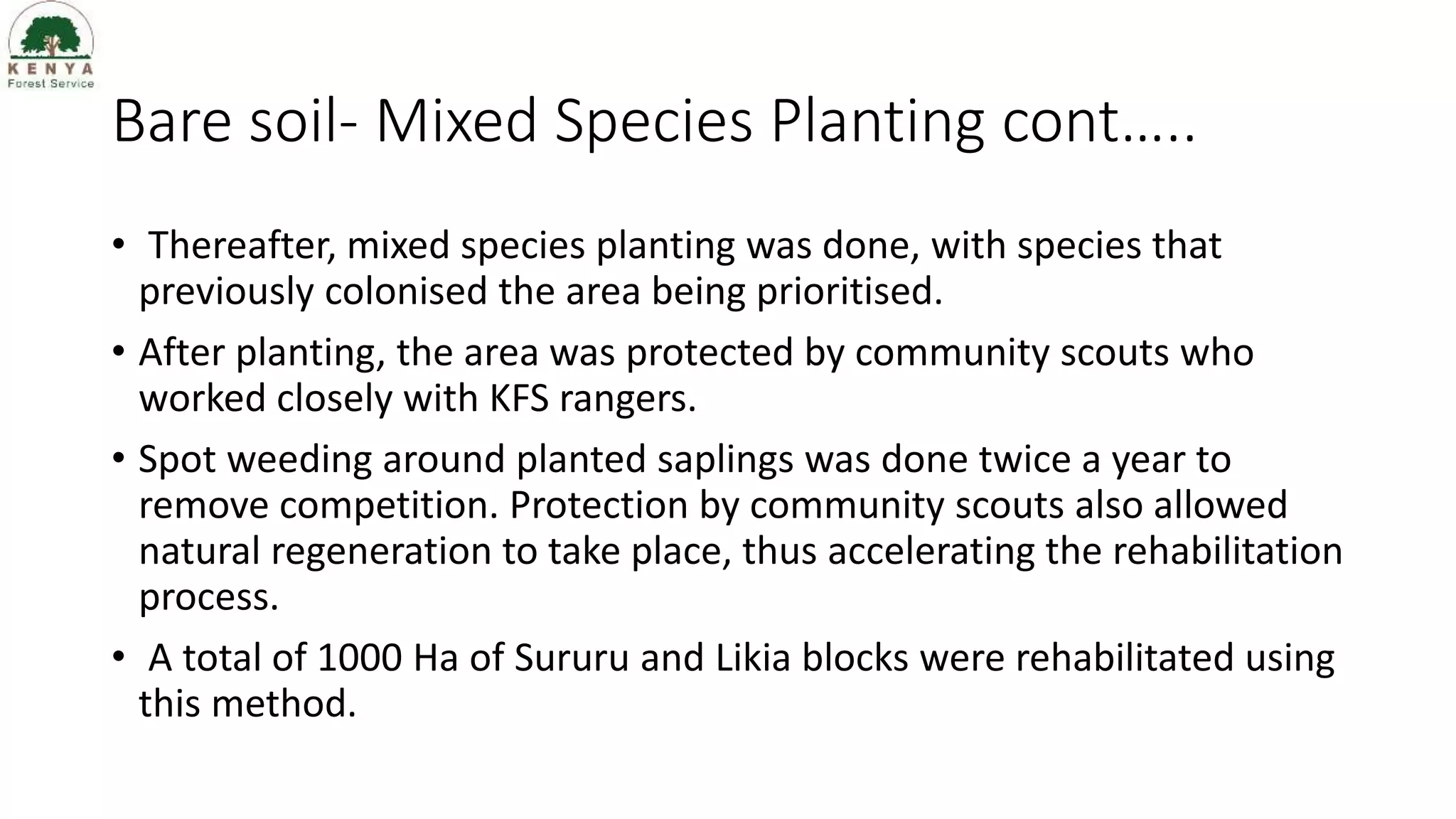 Reforestation Efforts in Kenya: A case of Surubu/Likia forest block ...
