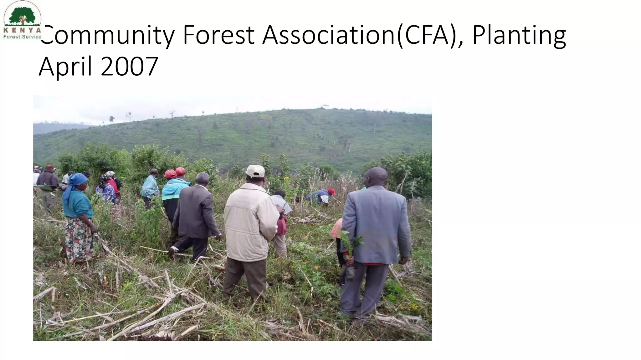 Reforestation Efforts in Kenya: A case of Surubu/Likia forest block ...