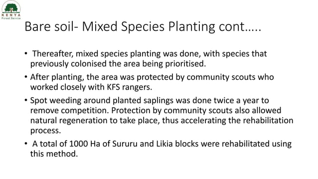 Reforestation Efforts in Kenya: A case of Surubu/Likia forest block ...