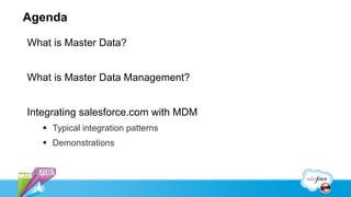 Building an Enterprise MDM Strategy | PDF