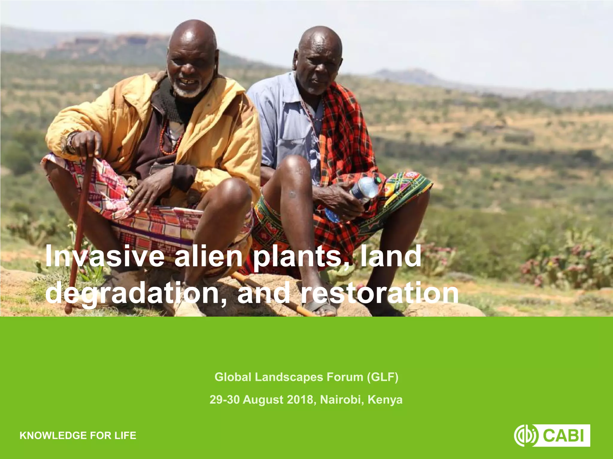 Invasive alien plants, land degradation, and restoration | PDF ...