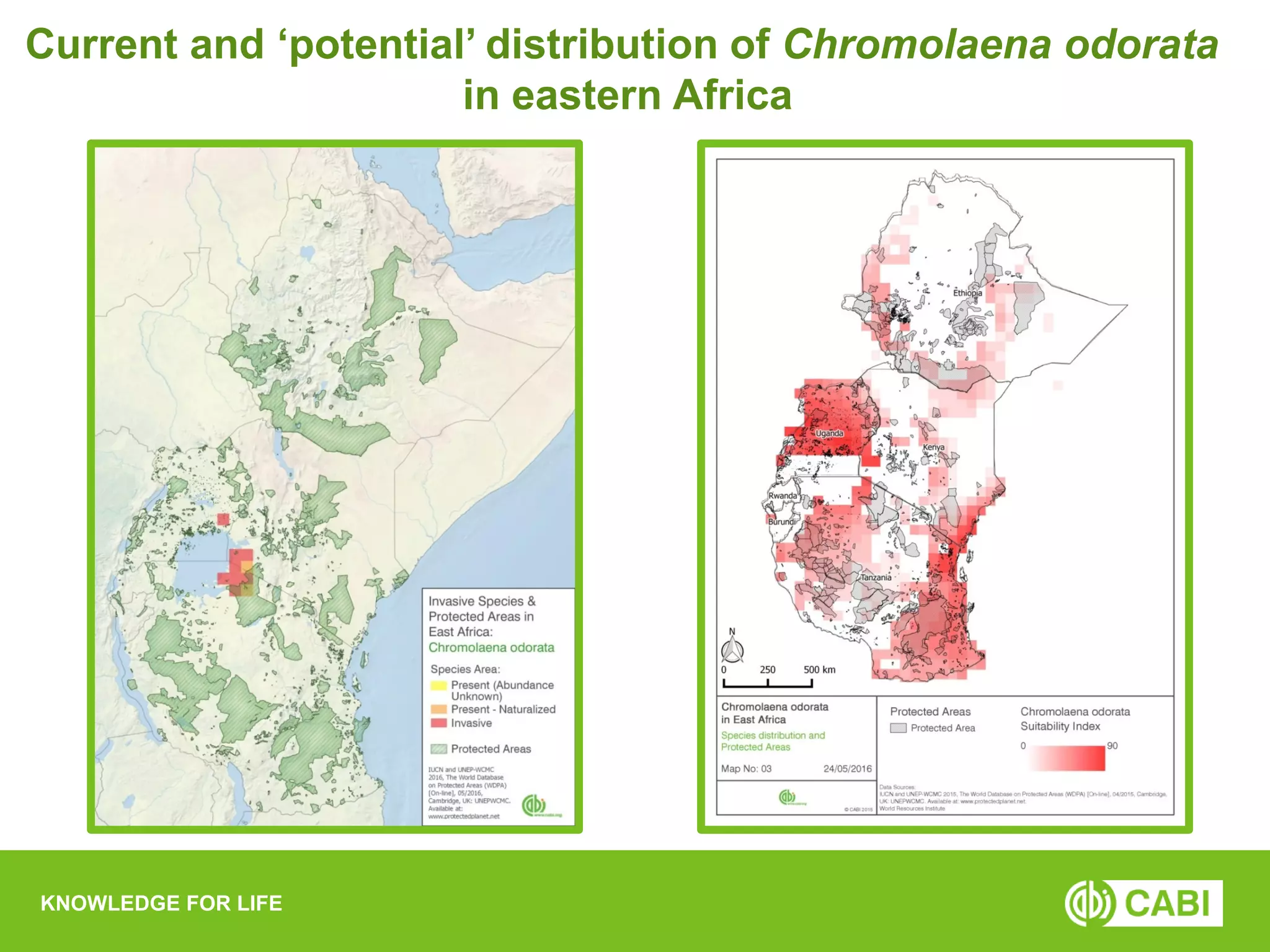 Invasive alien plants, land degradation, and restoration | PDF ...
