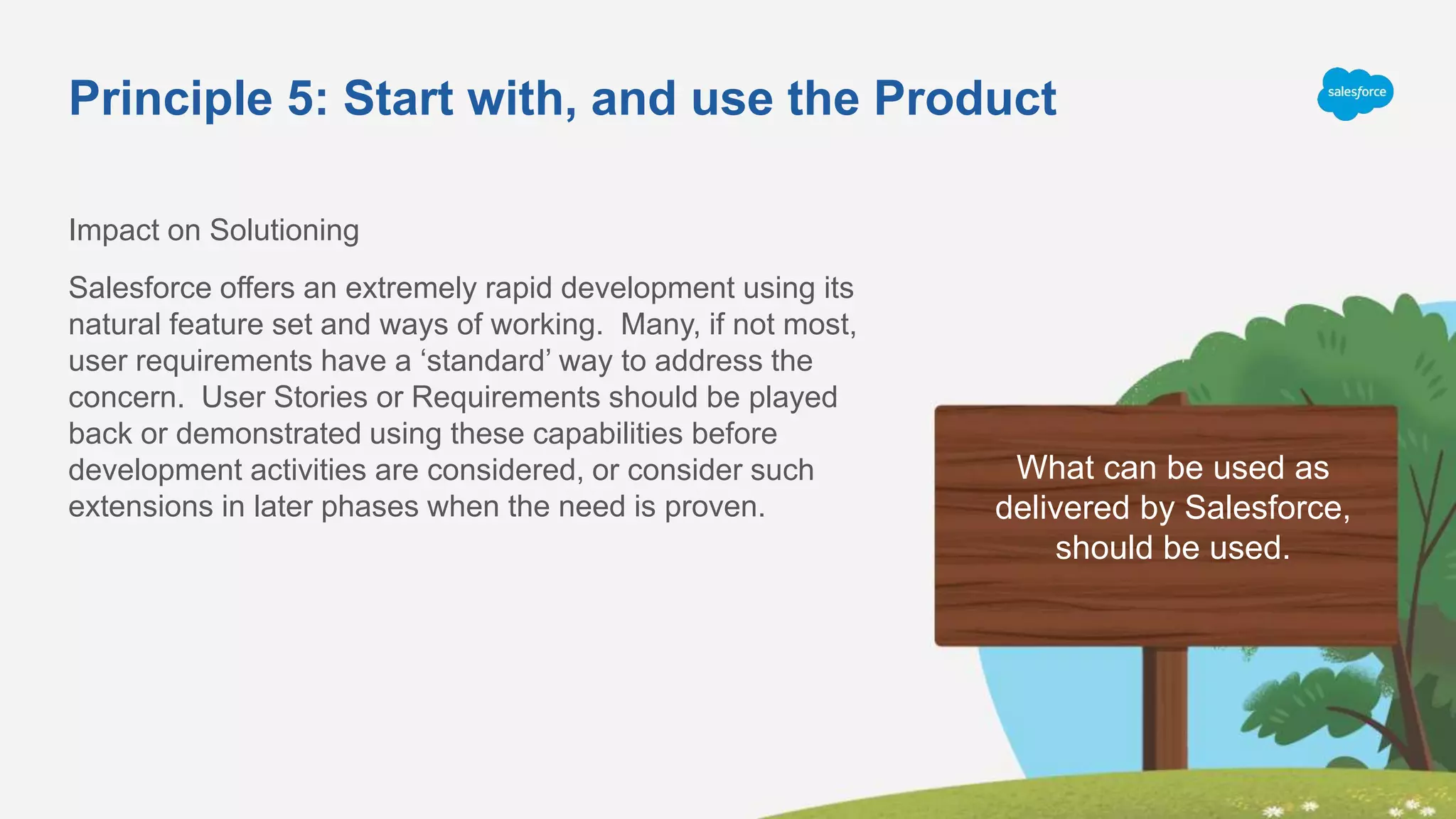 9 Principles for Salesforce Application Architecture | PPTX