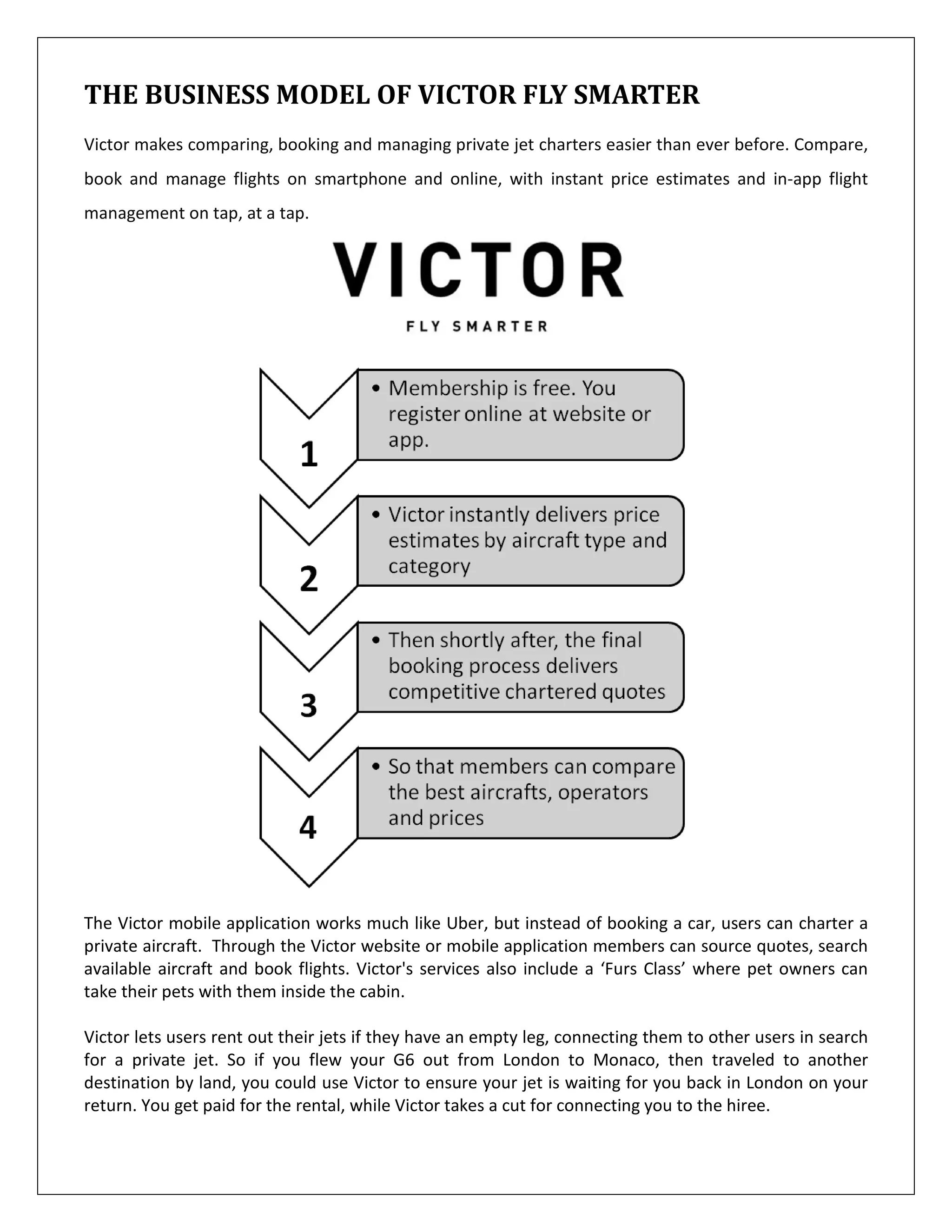VictorFly | PDF