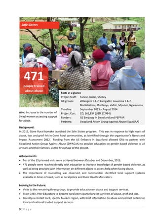 2013 Annual Report | PDF | Non-Profit Organizations | Industries