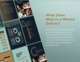 Mole in a Minute Introduction | PDF