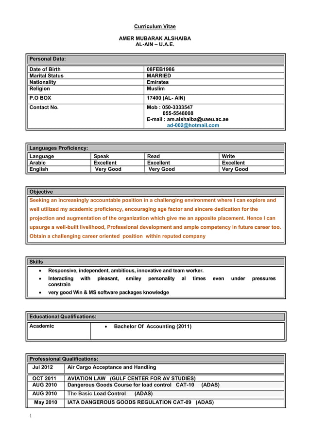 amer(cv) | PDF | Aviation Industry | Industries
