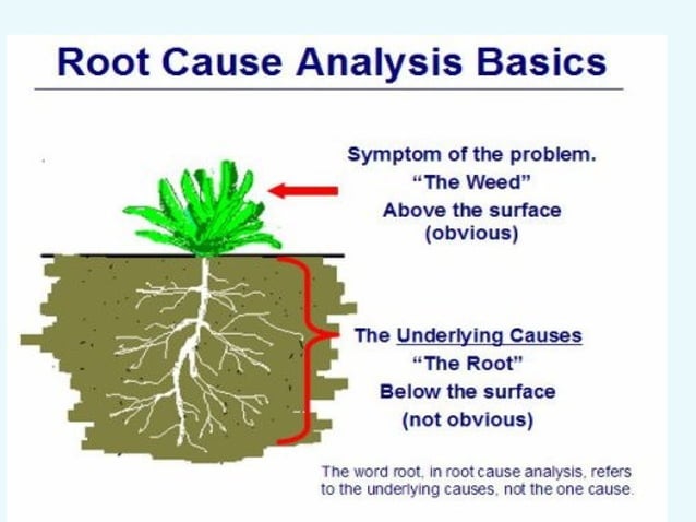 CAPA, Root Cause Analysis and Risk Management | PPT