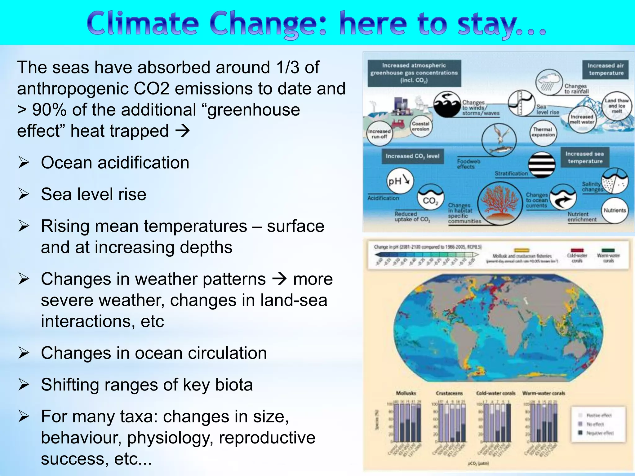 Potential Impacts of Climate Change and Ocean Acidification for the ...