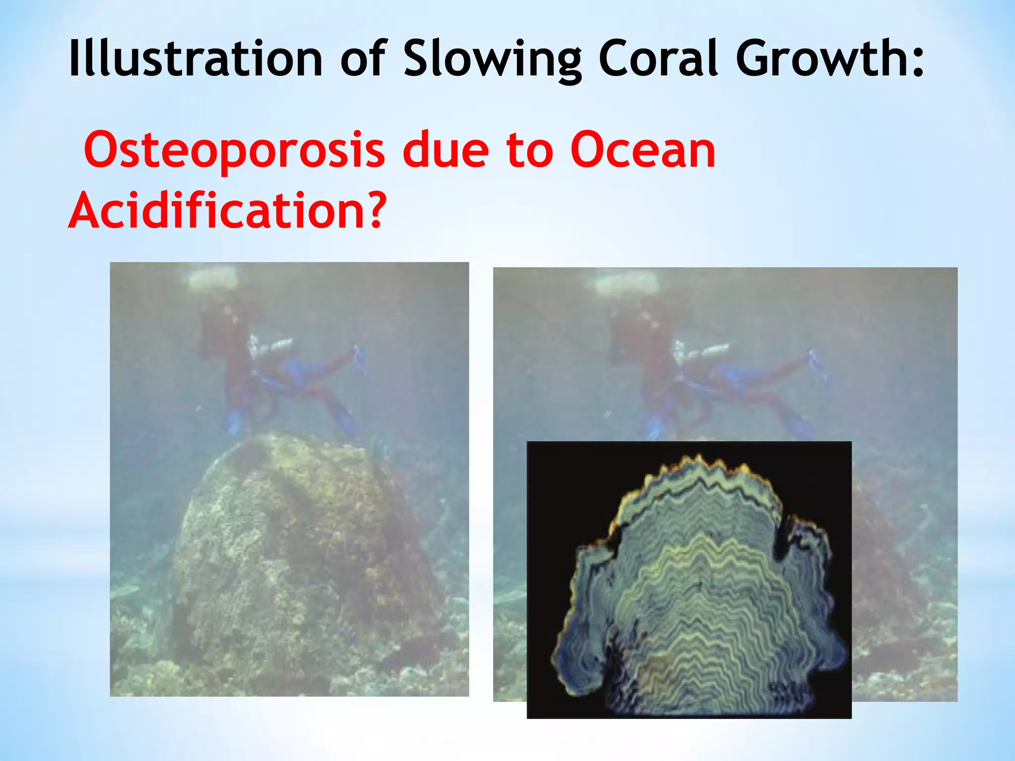Potential Impacts of Climate Change and Ocean Acidification for the ...
