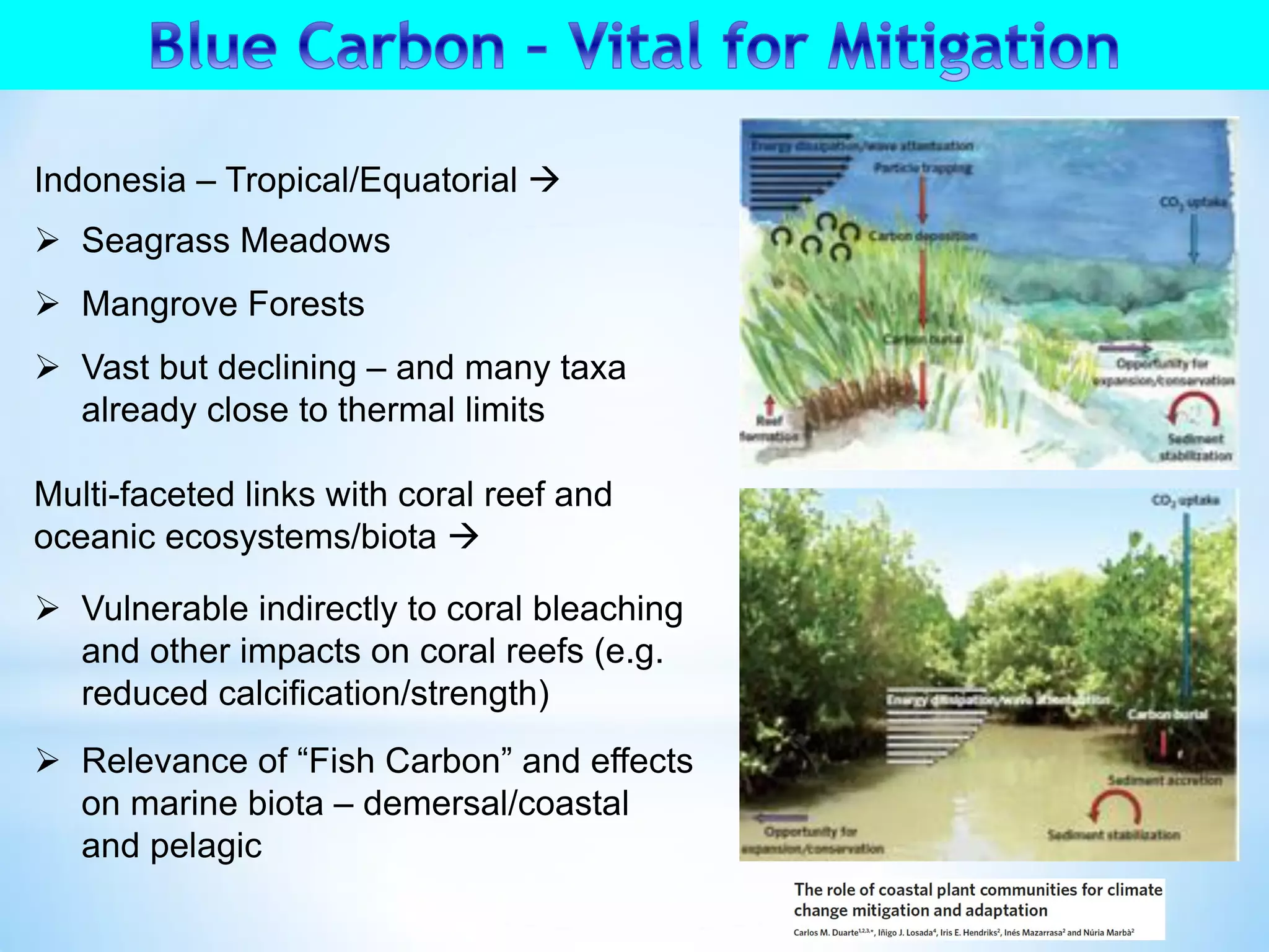 Potential Impacts of Climate Change and Ocean Acidification for the ...