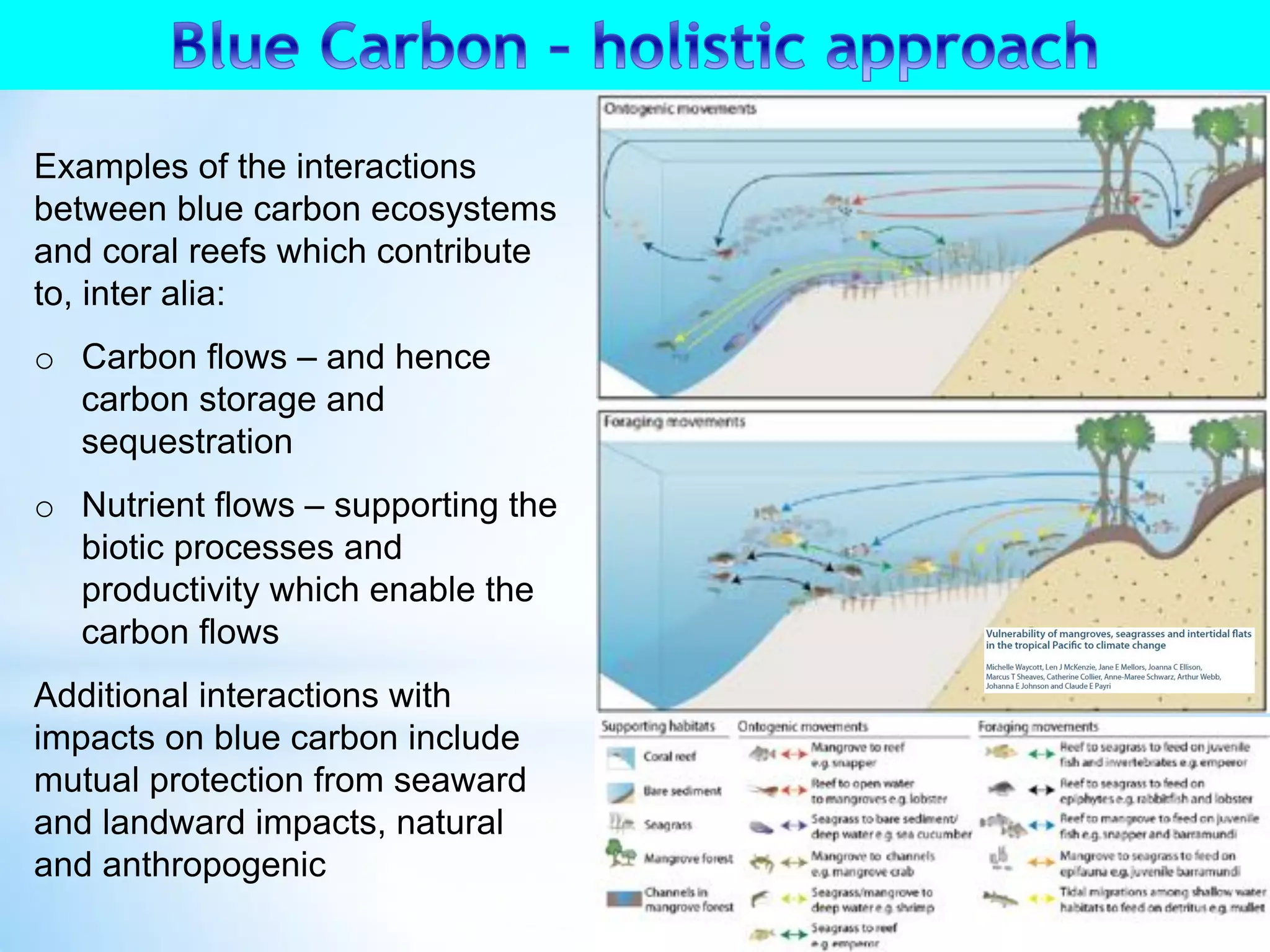 Potential Impacts of Climate Change and Ocean Acidification for the ...