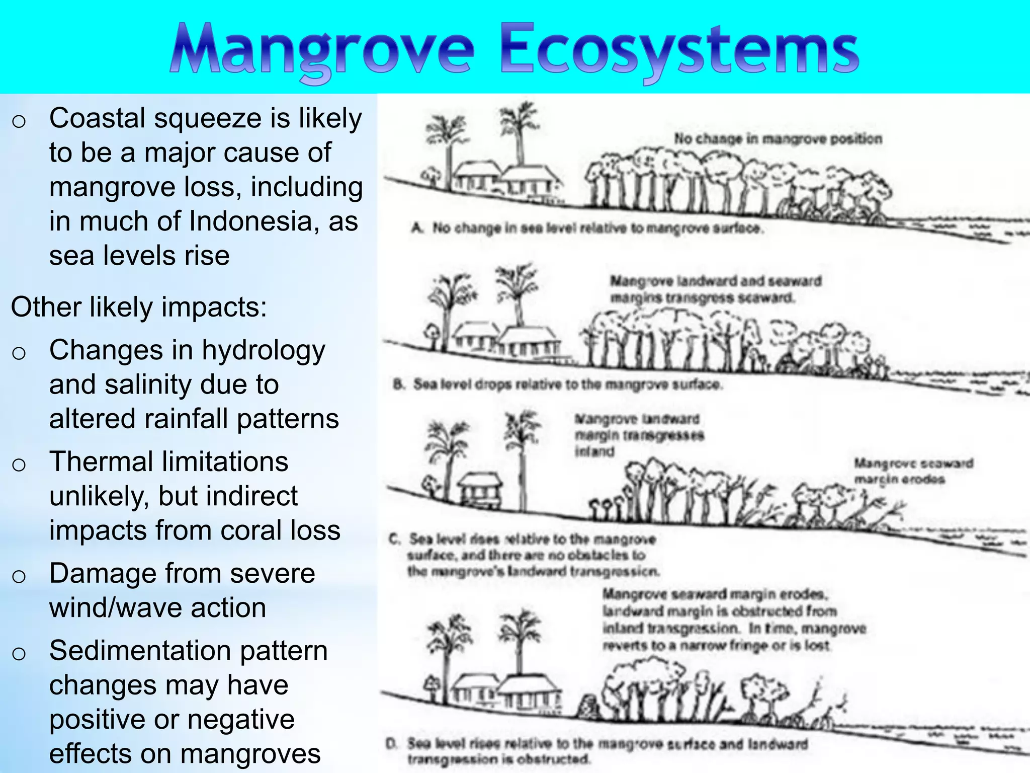 Potential Impacts of Climate Change and Ocean Acidification for the ...