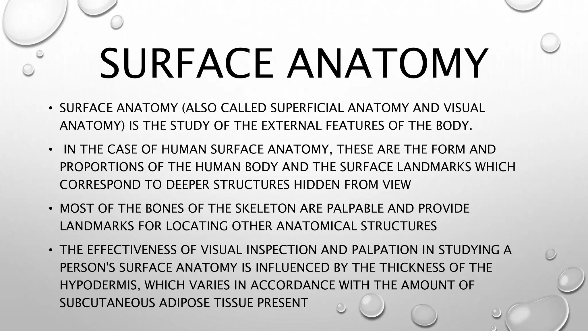 Wound Care Anatomy | PPTX