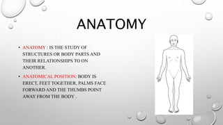 Wound Care Anatomy | PPTX