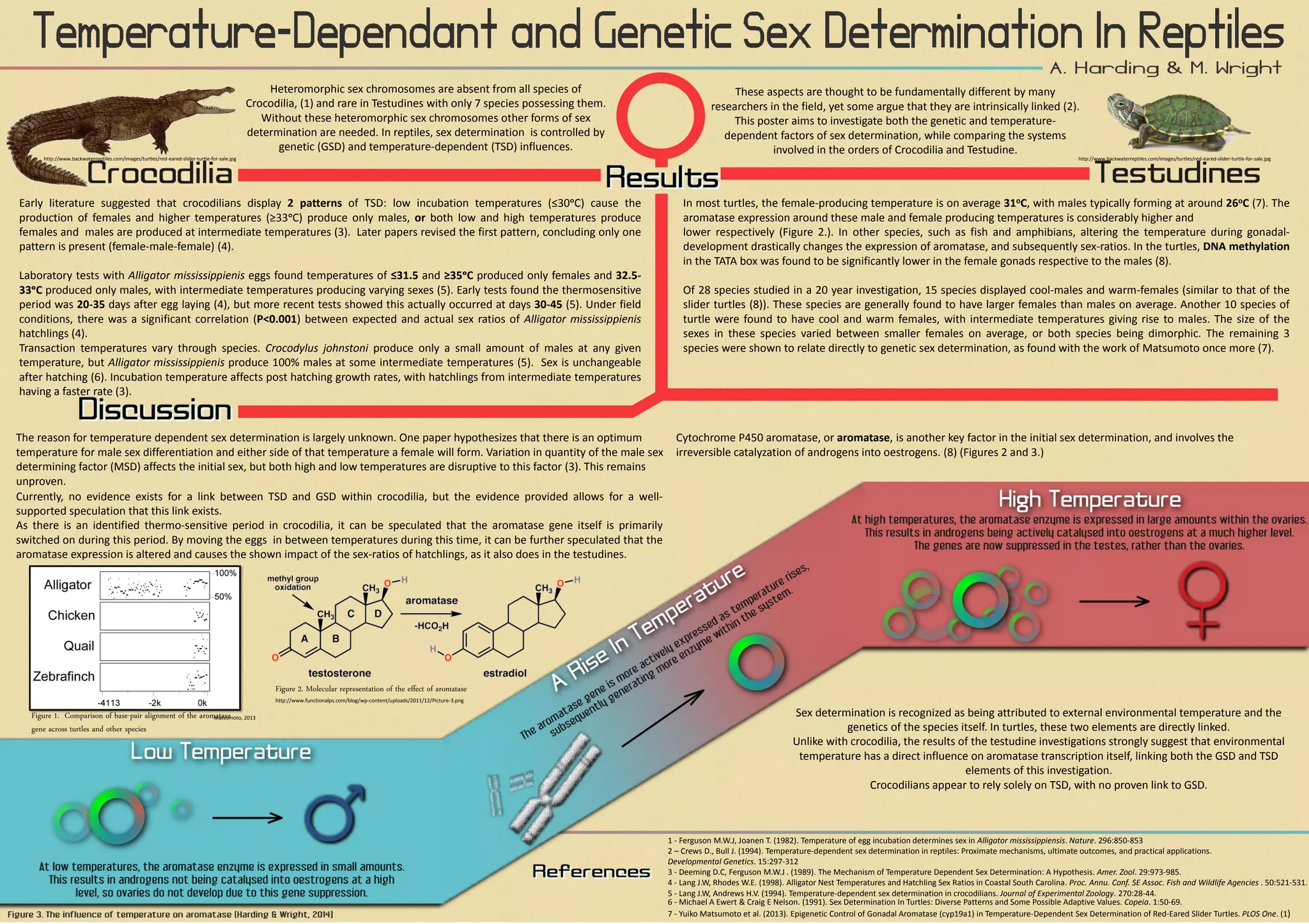 Poster (1) | PDF