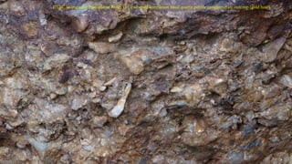 DTRC Homestake Gold Paleoplacer | PDF