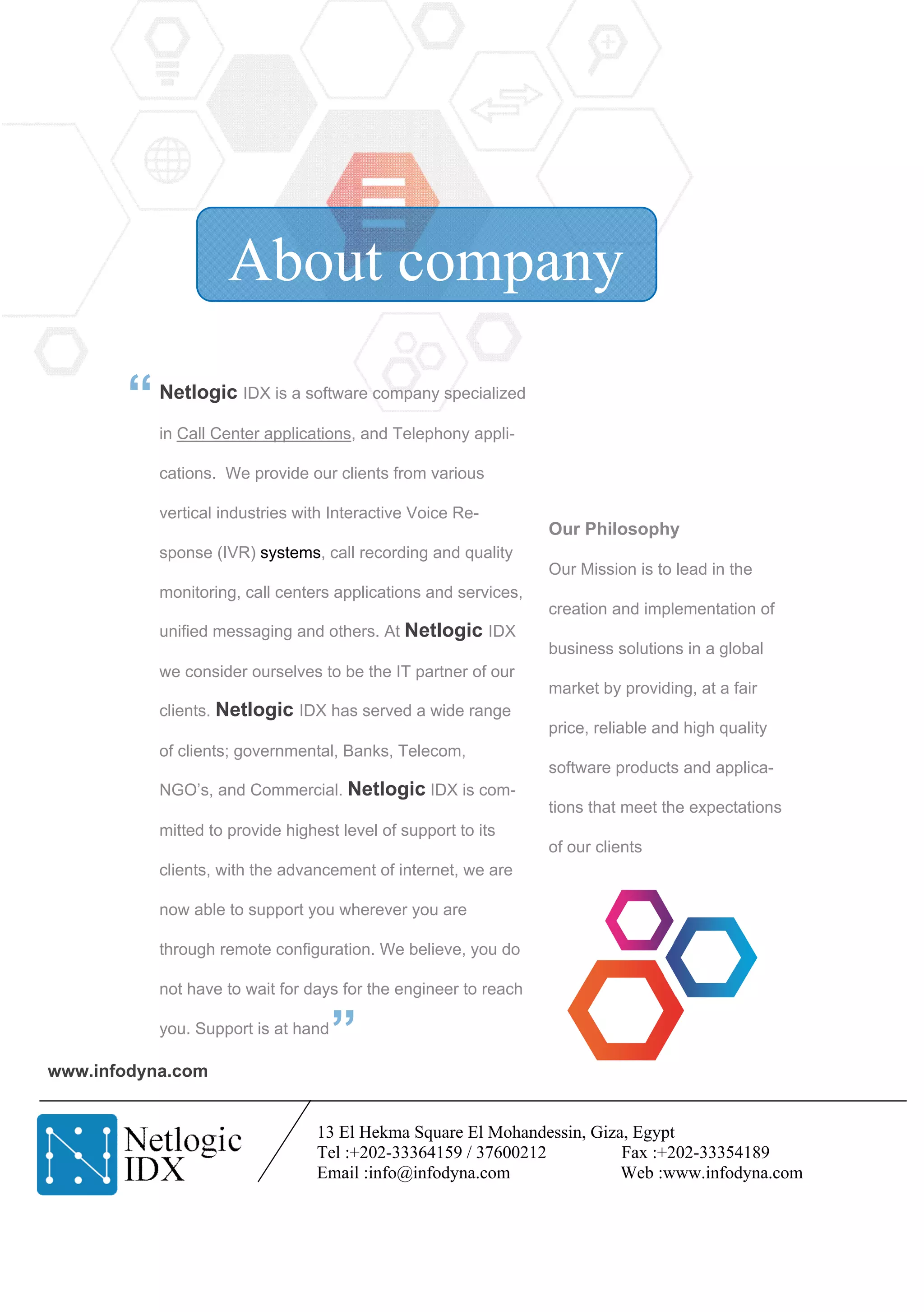 NetLogic english | PDF