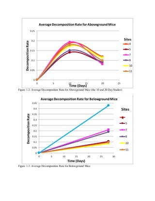 NawoichikFinalResearchReportF | PDF
