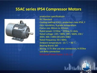 shuanglong motors 1 | PDF | Manufacturing Industry | Industries