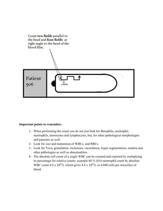 Differential cell count | PDF