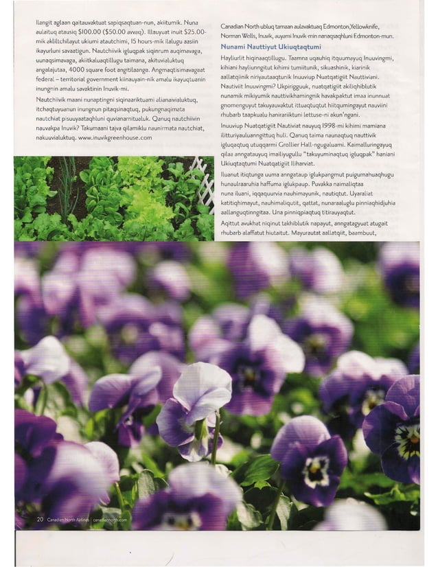 Northern Flyer Mag - Gardening Arctic0001 | PDF