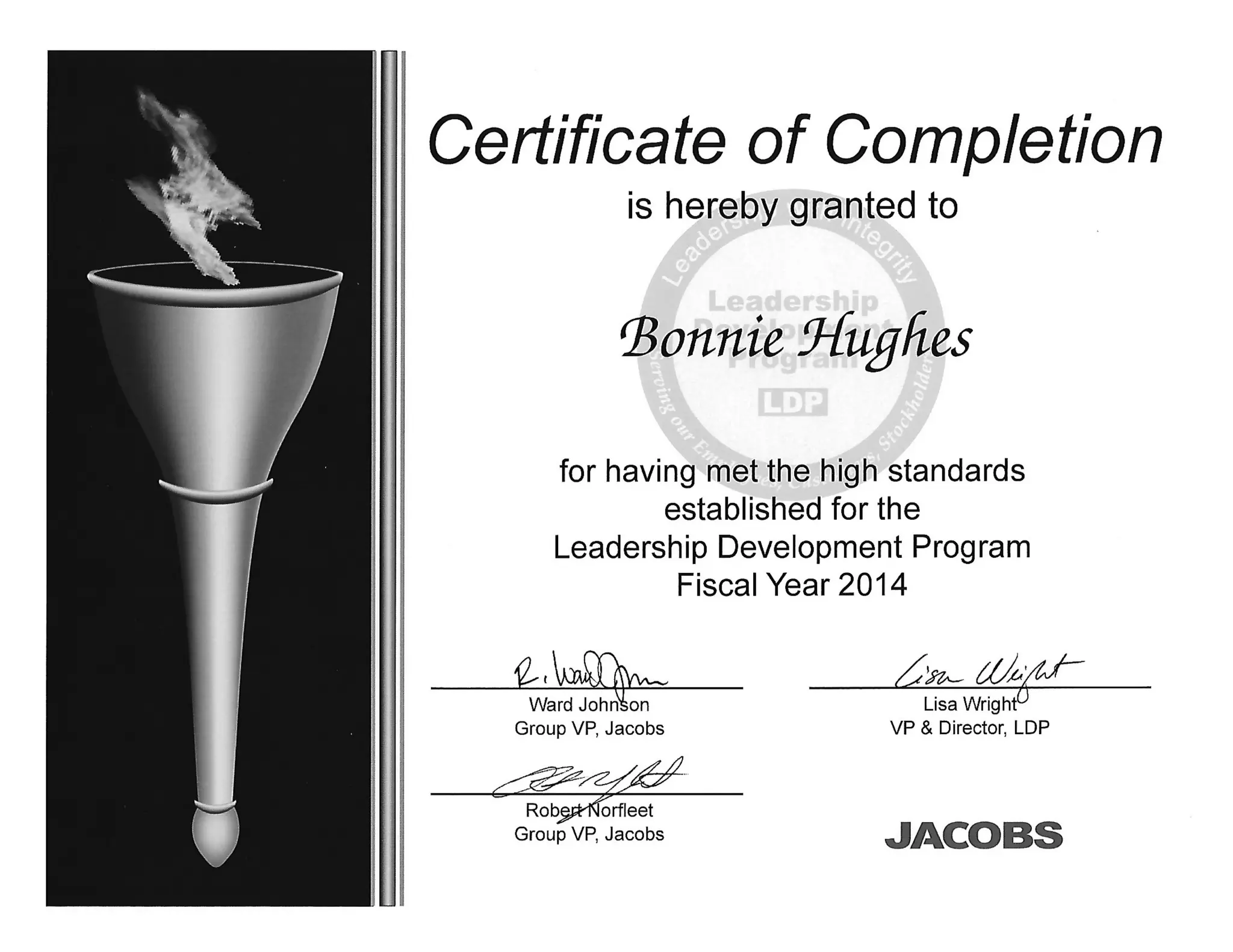 Jacobs Leadership Development Certificate | PDF