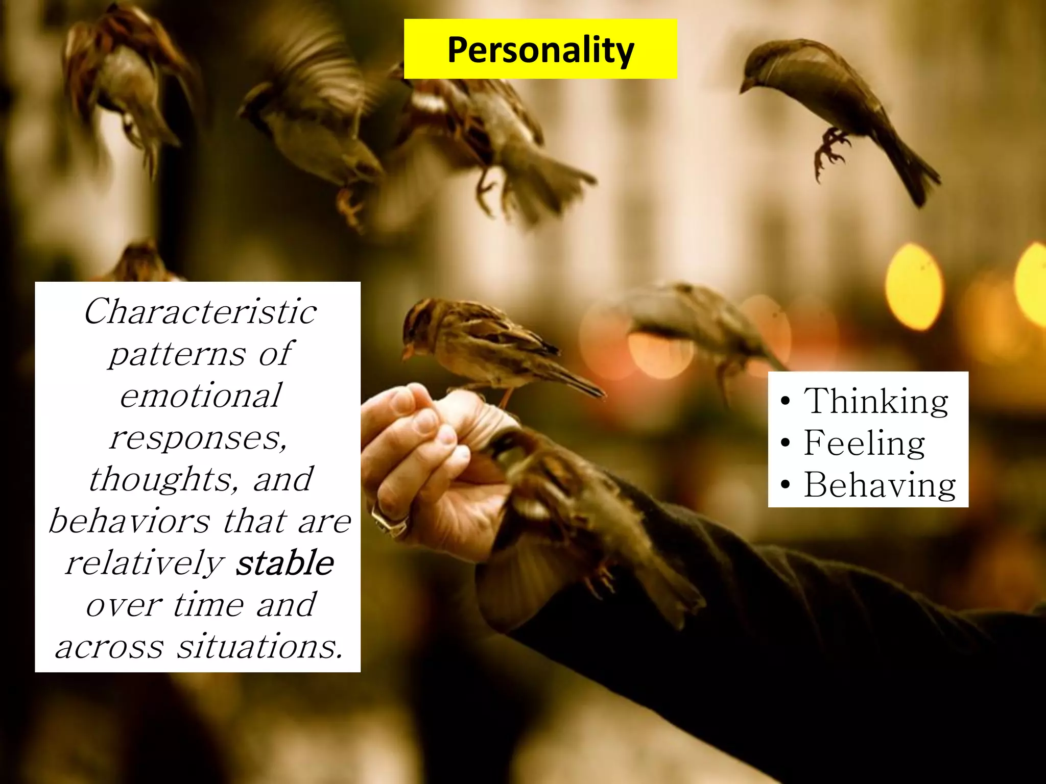 Personality introduction | PPT