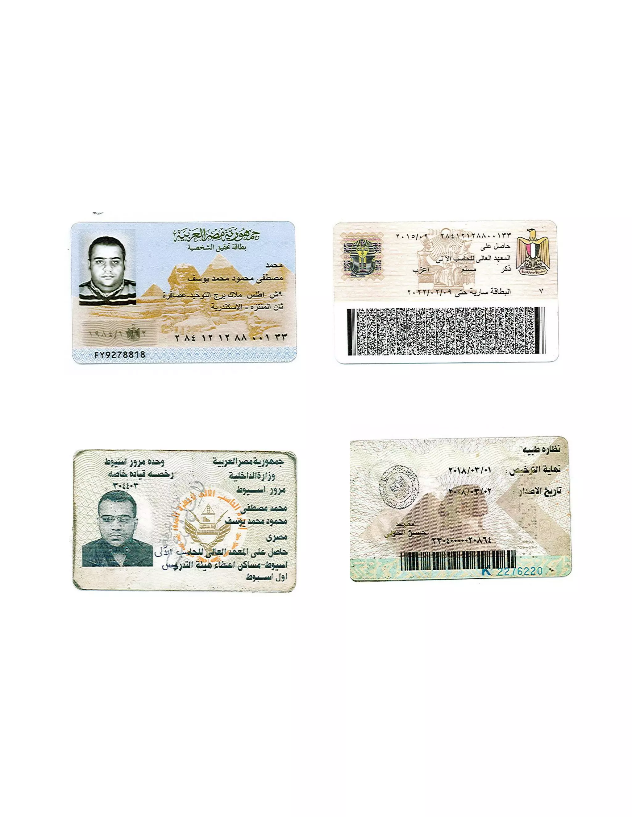 Mohamed Moustafa Youssef CV | PDF