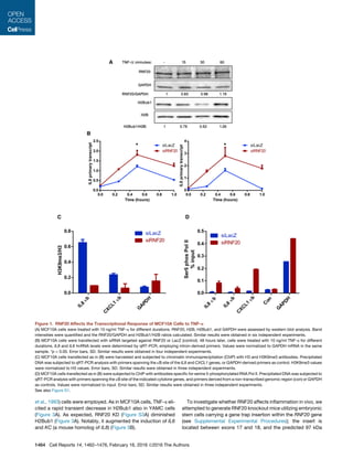 rnf20 links histon h2b ubiquitylation | PDF