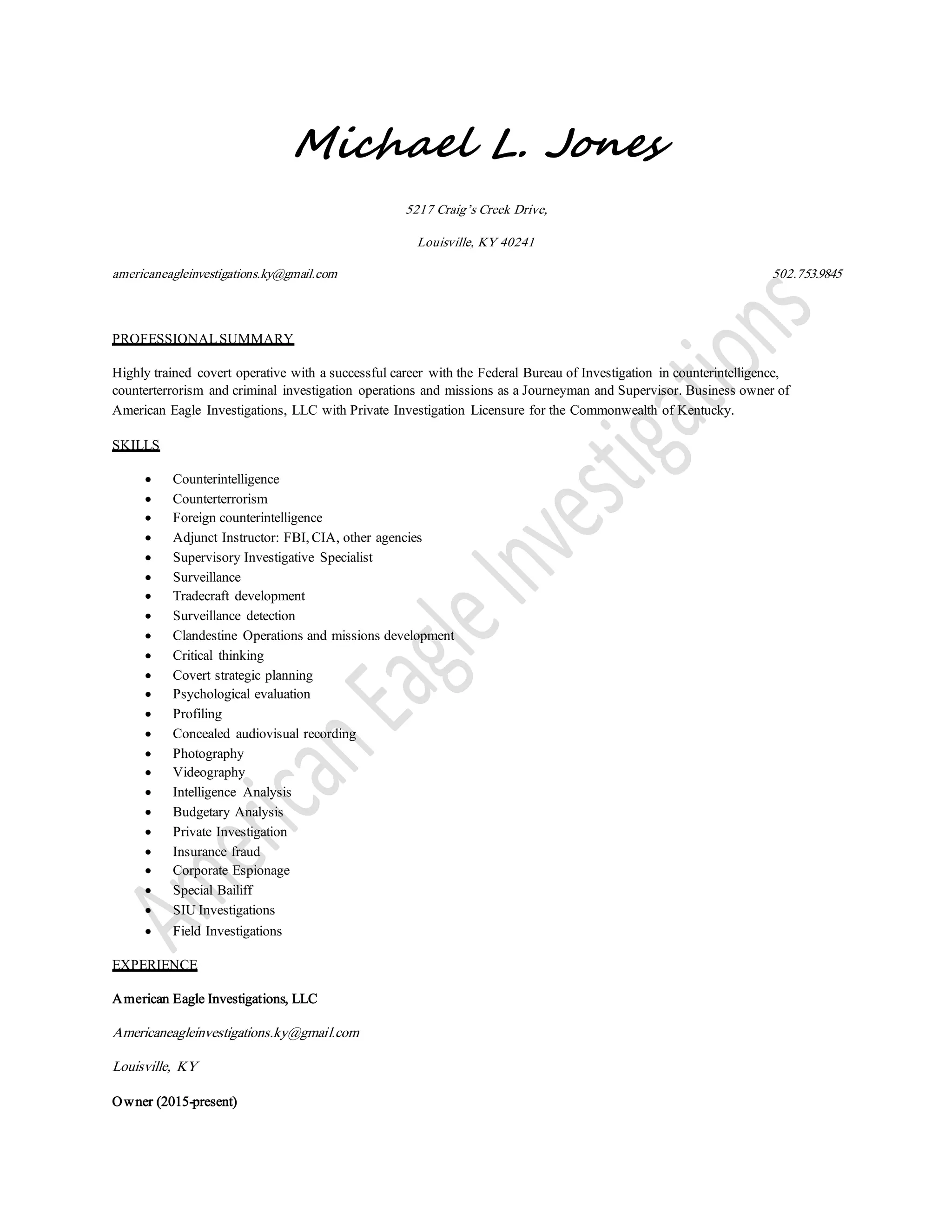 Resume 2016 AEI Owner | PDF