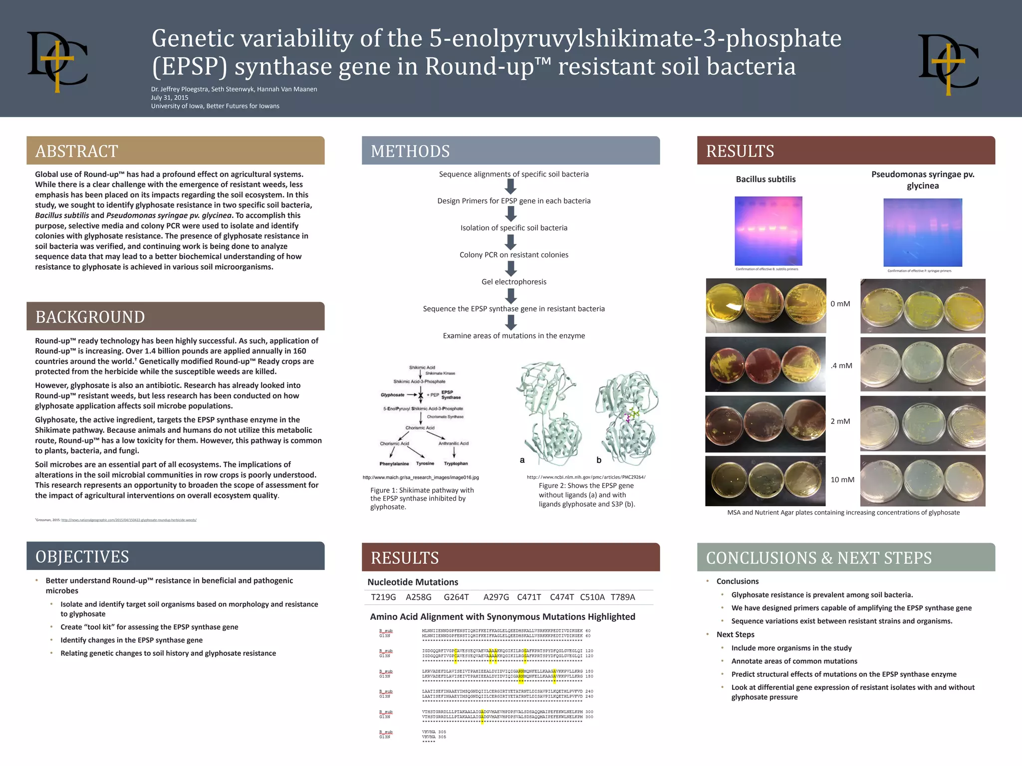 Genetic variability of the EPSP synthase poster | PPT