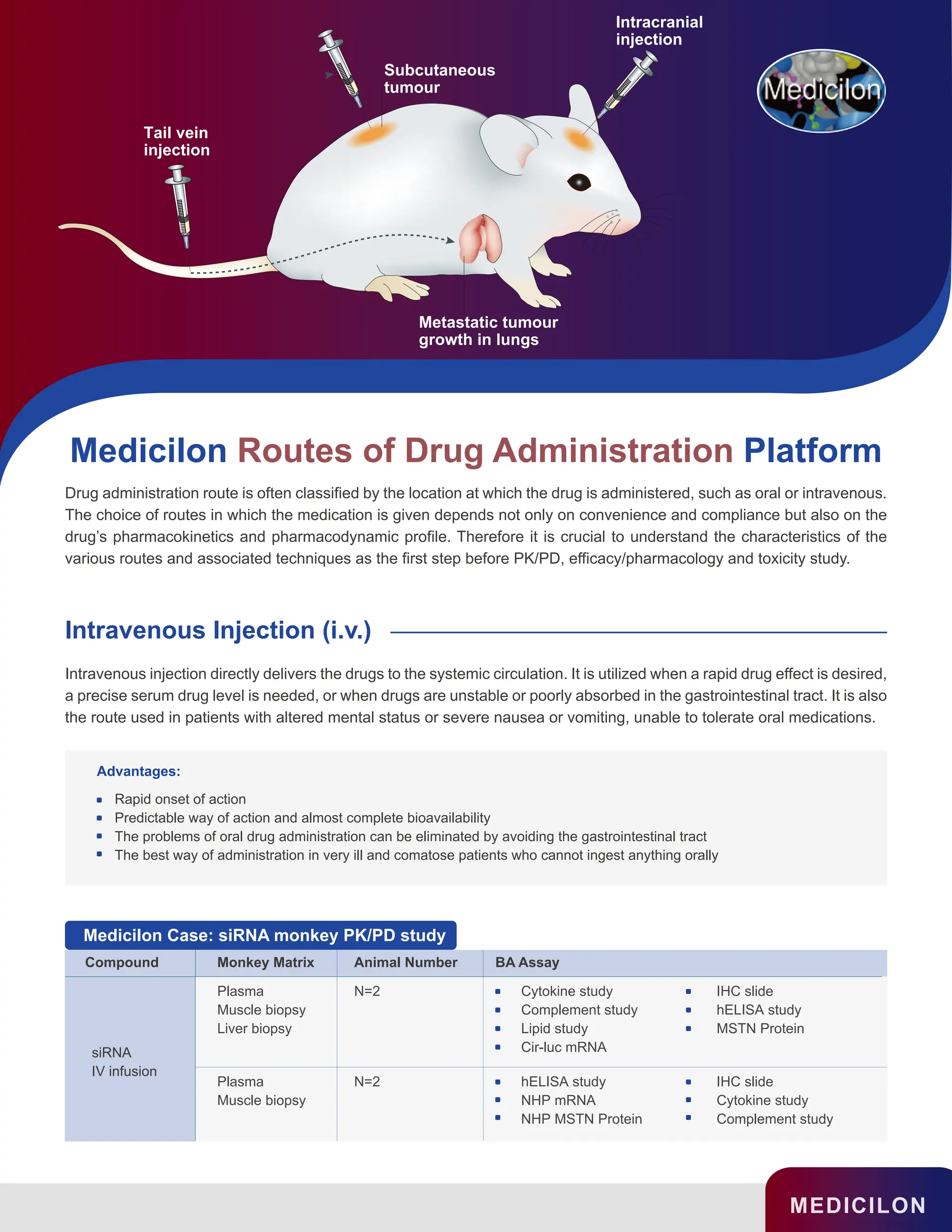 Medicilon Drug Routes of Administration Platform | PDF