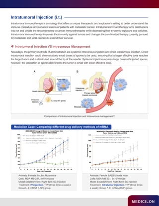 Medicilon Drug Routes of Administration Platform | PDF