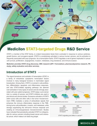STAT3-targeted Drugs R&D Service | PDF