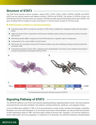 STAT3-targeted Drugs R&D Service | PDF