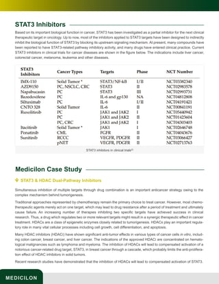 STAT3-targeted Drugs R&D Service | PDF