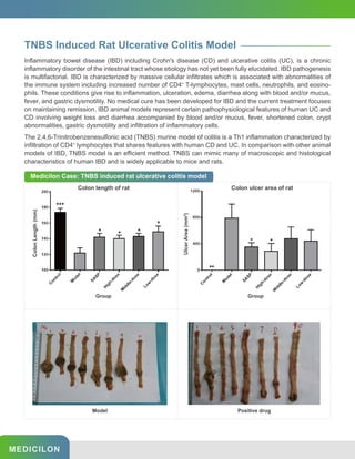 Medicilon Preclinical Inflammatory & Immune Diseases Models | PDF