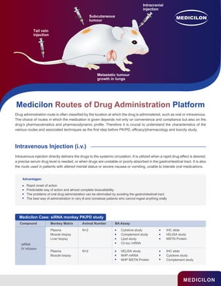Medicilon Routes of Drug Administration Platform | PDF